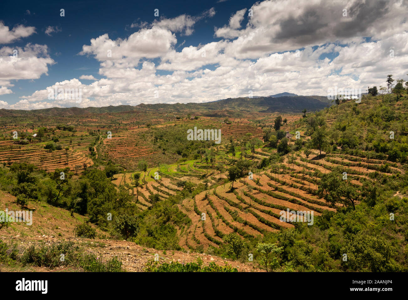 Ethiopia, South Omo, Weito, agricultural terraces on hillside by Konso ...