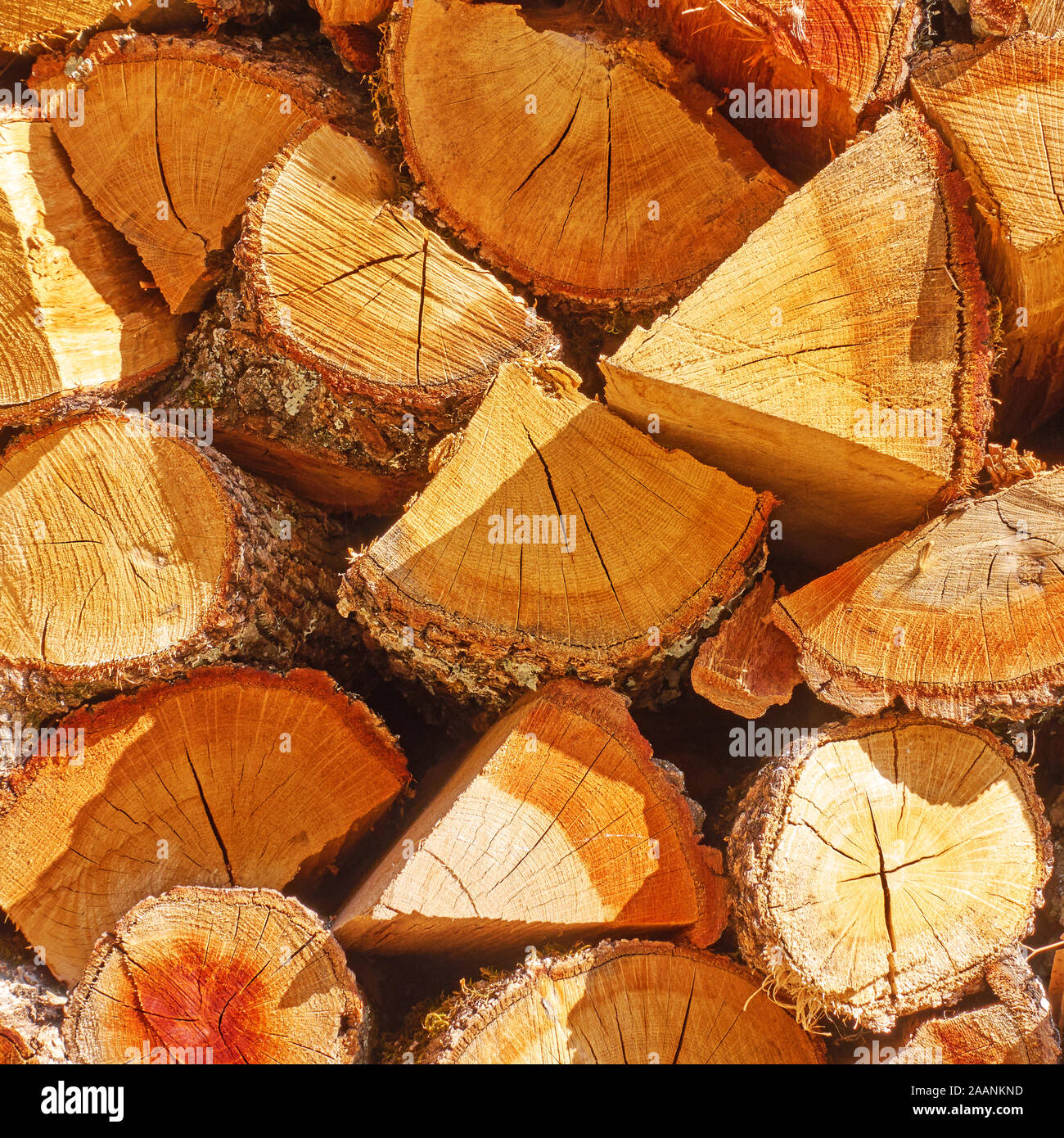 Firewood - Stack of chopped wooden logs closeup Stock Photo - Alamy