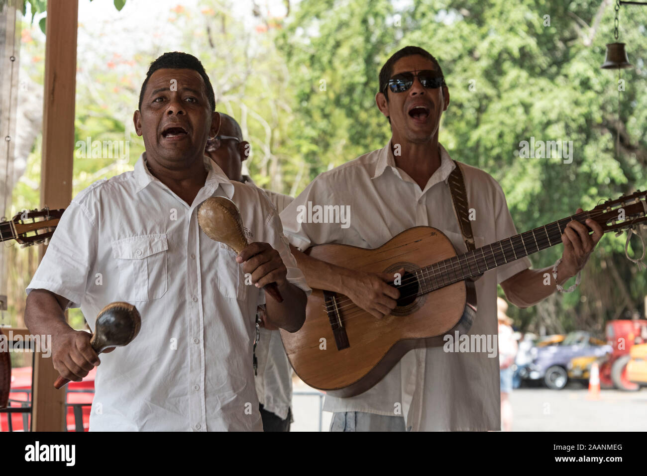 A Cuban singer using a pair of Cuban musical instruments called ...