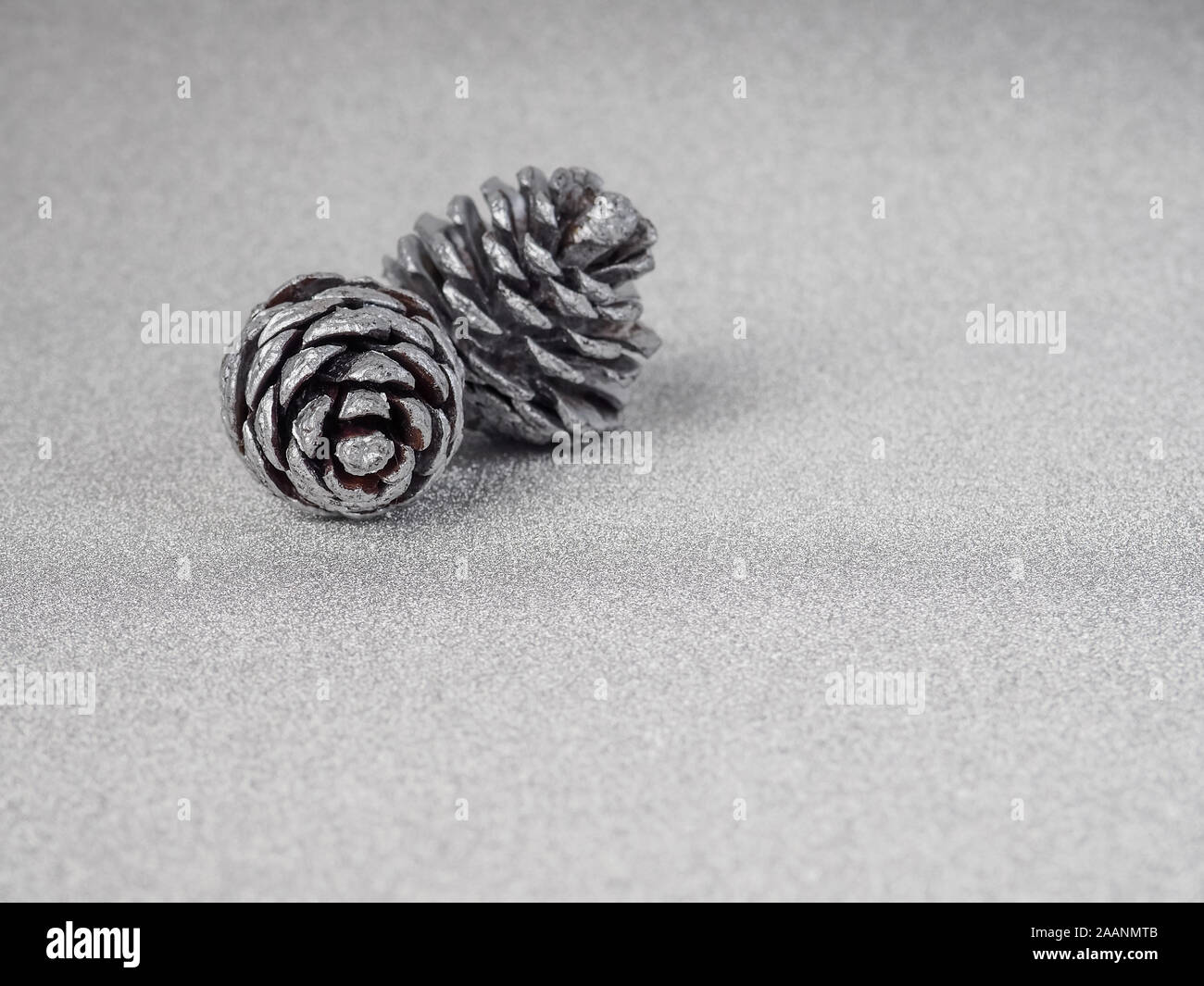Silver pine cones on white wooden background. White and silver pallet ...