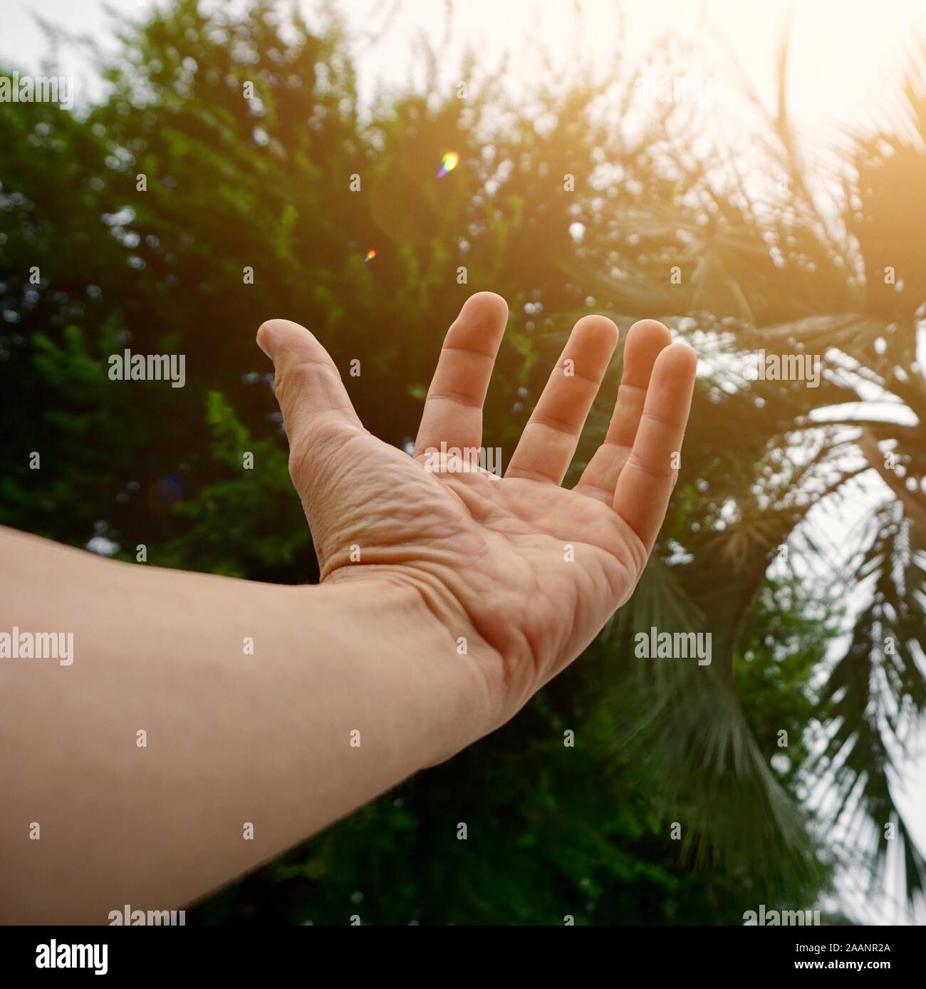 Raised wrist hi-res stock photography and images - Alamy