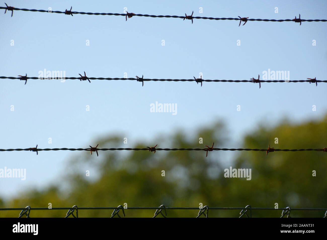 Barbed wire steel close hi-res stock photography and images - Alamy