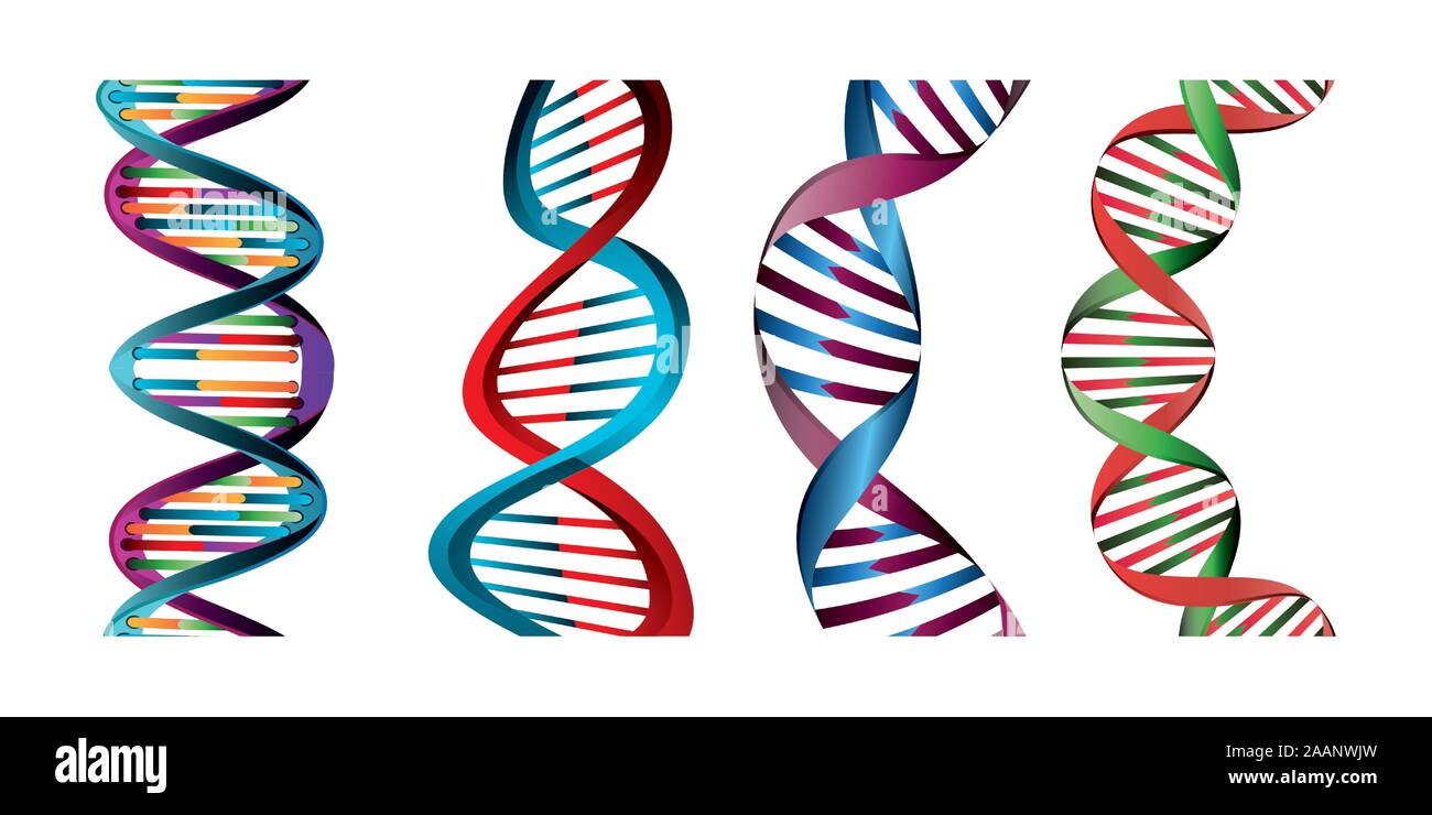 Deoxyribonucleic acid illustration Stock Vector Images - Alamy