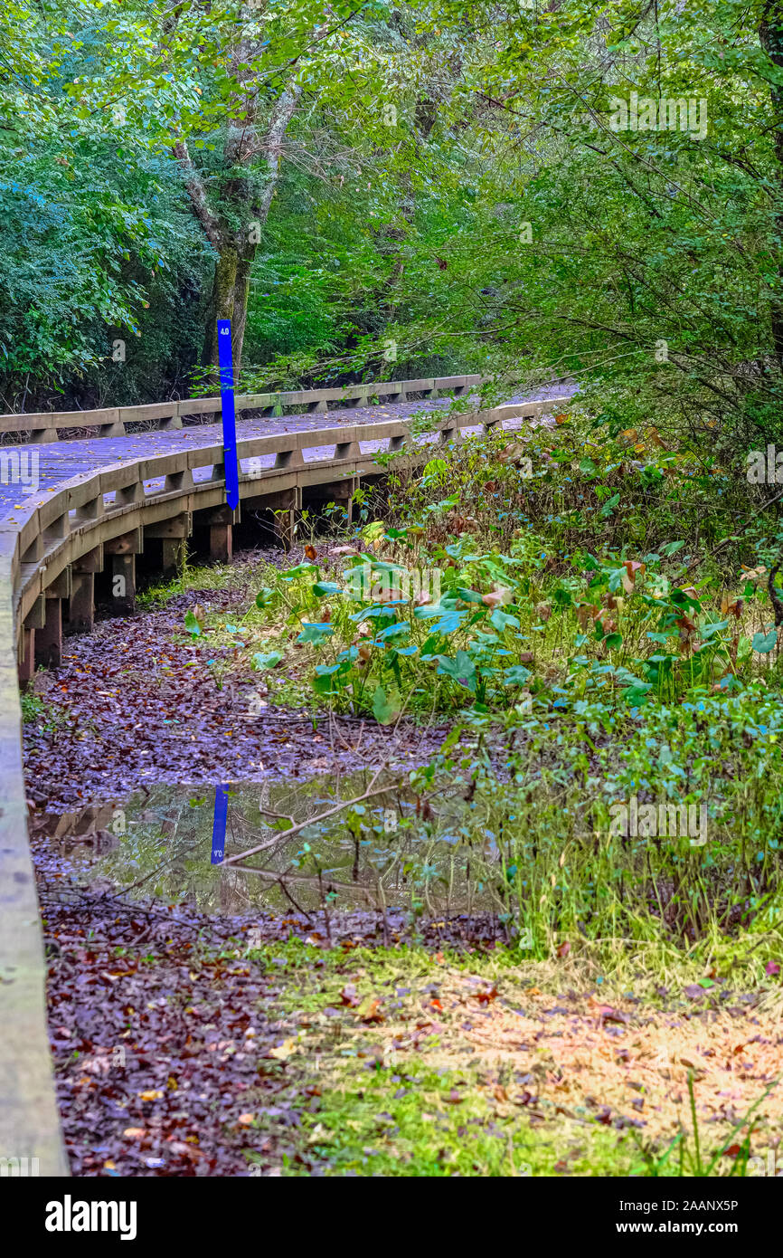 Mile Marker Reflected in a Forest Puddle Stock Photo - Alamy