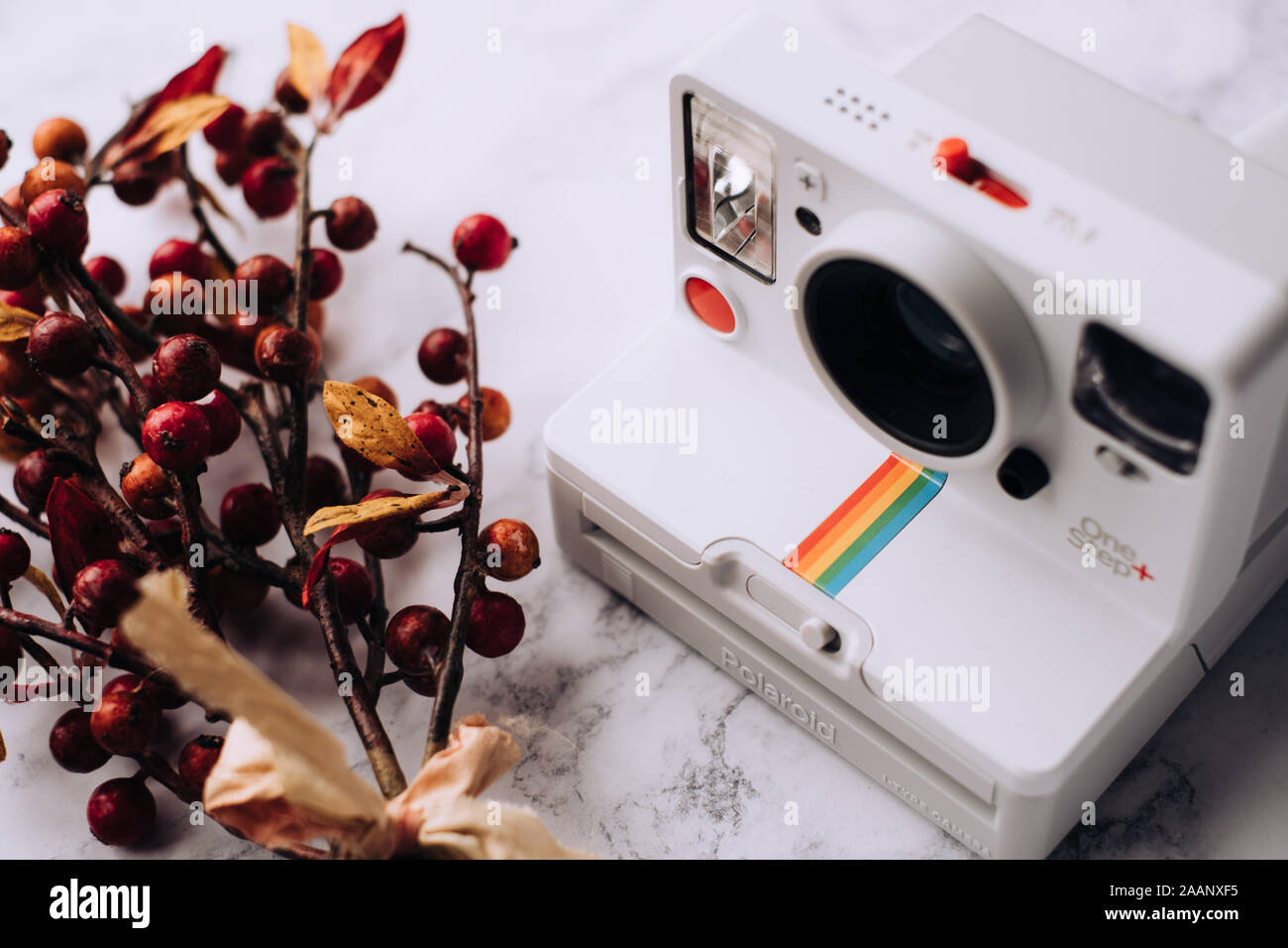 A polaroid camera styled shot Stock Photo - Alamy