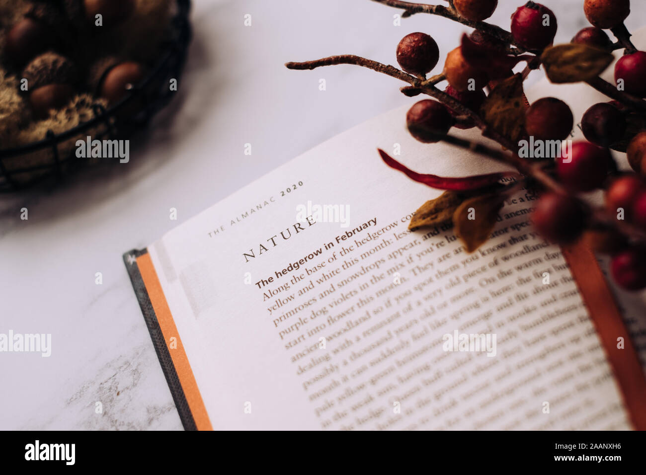 A photograph of an almanac open at the Febuary things to photograph ...