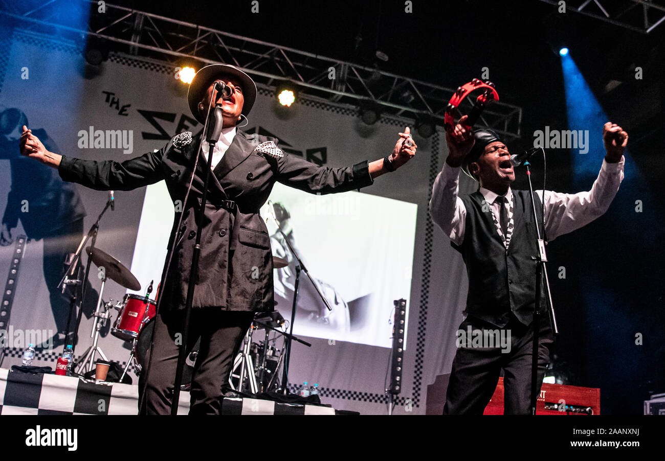 Selector band hi-res stock photography and images - Alamy