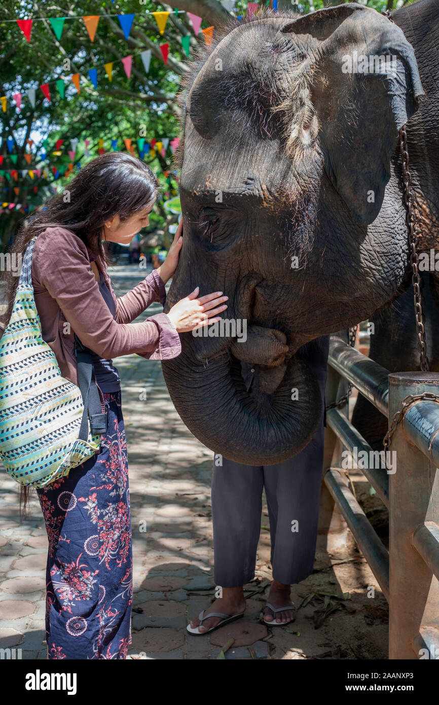 Petting an elephant hi-res stock photography and images - Alamy