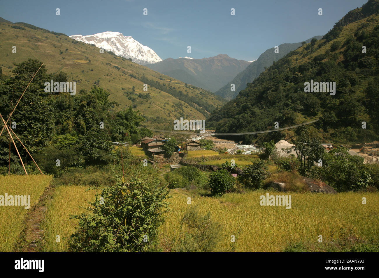 Footbridge across Madi river, with Lamjung Himalayas in background ...