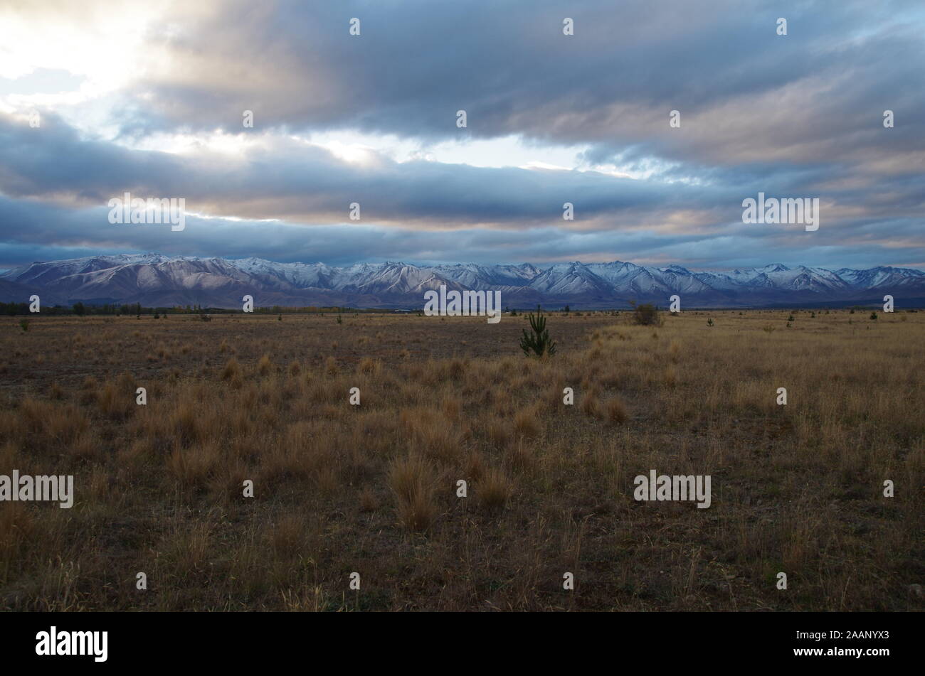 Te Araroa Trail. Pukaki Flats Track. South Island. New Zealand Stock ...
