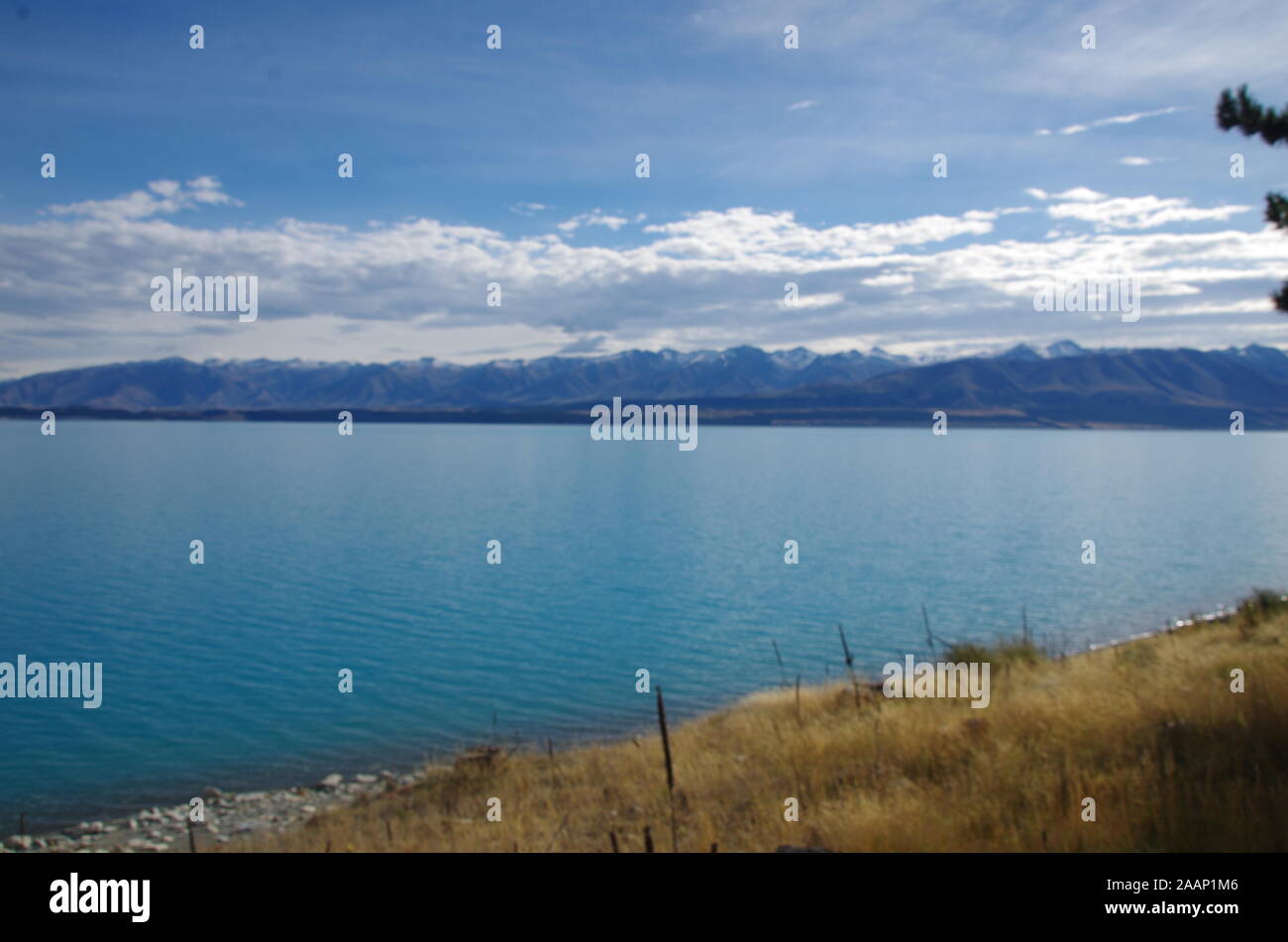 Te Araroa Trail. Pukaki Flats Track. South Island. New Zealand Stock ...