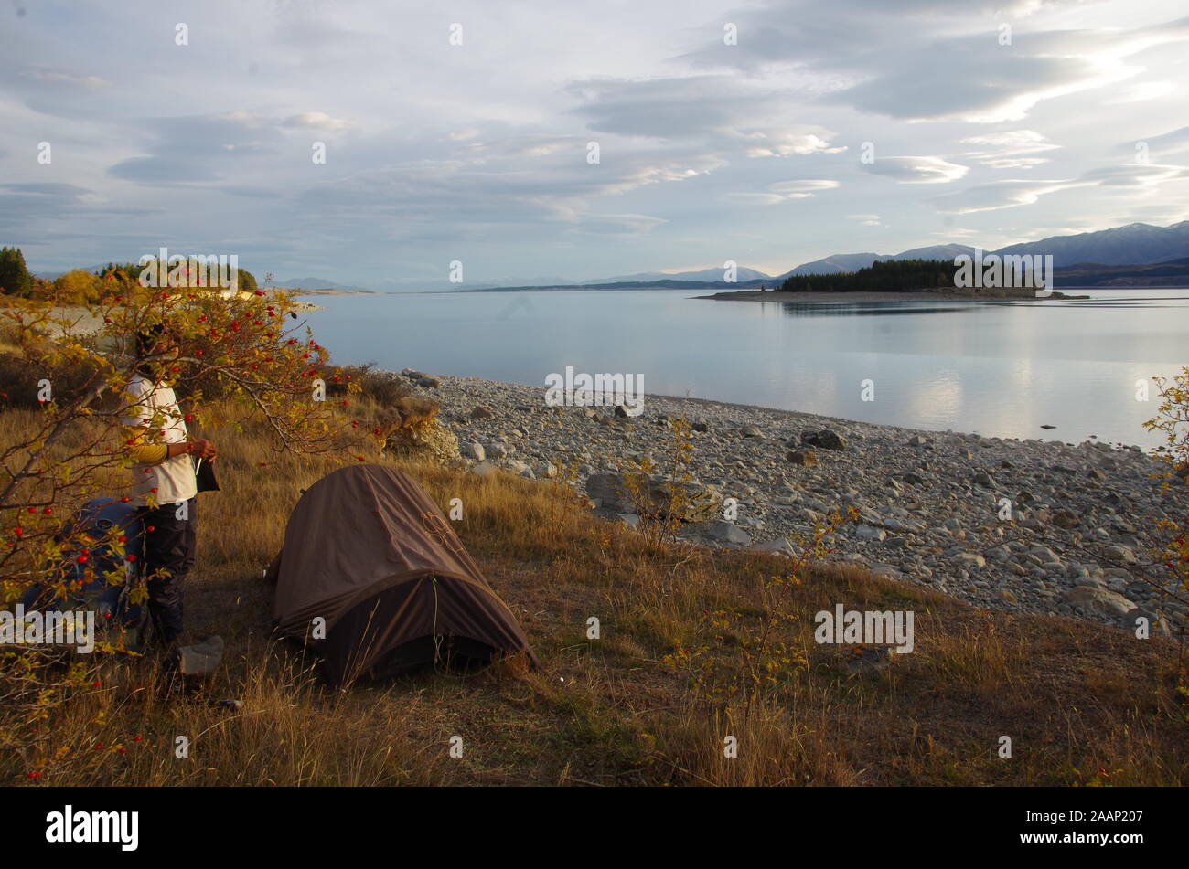Te Araroa Trail. Pukaki Flats Track. South Island. New Zealand Stock ...