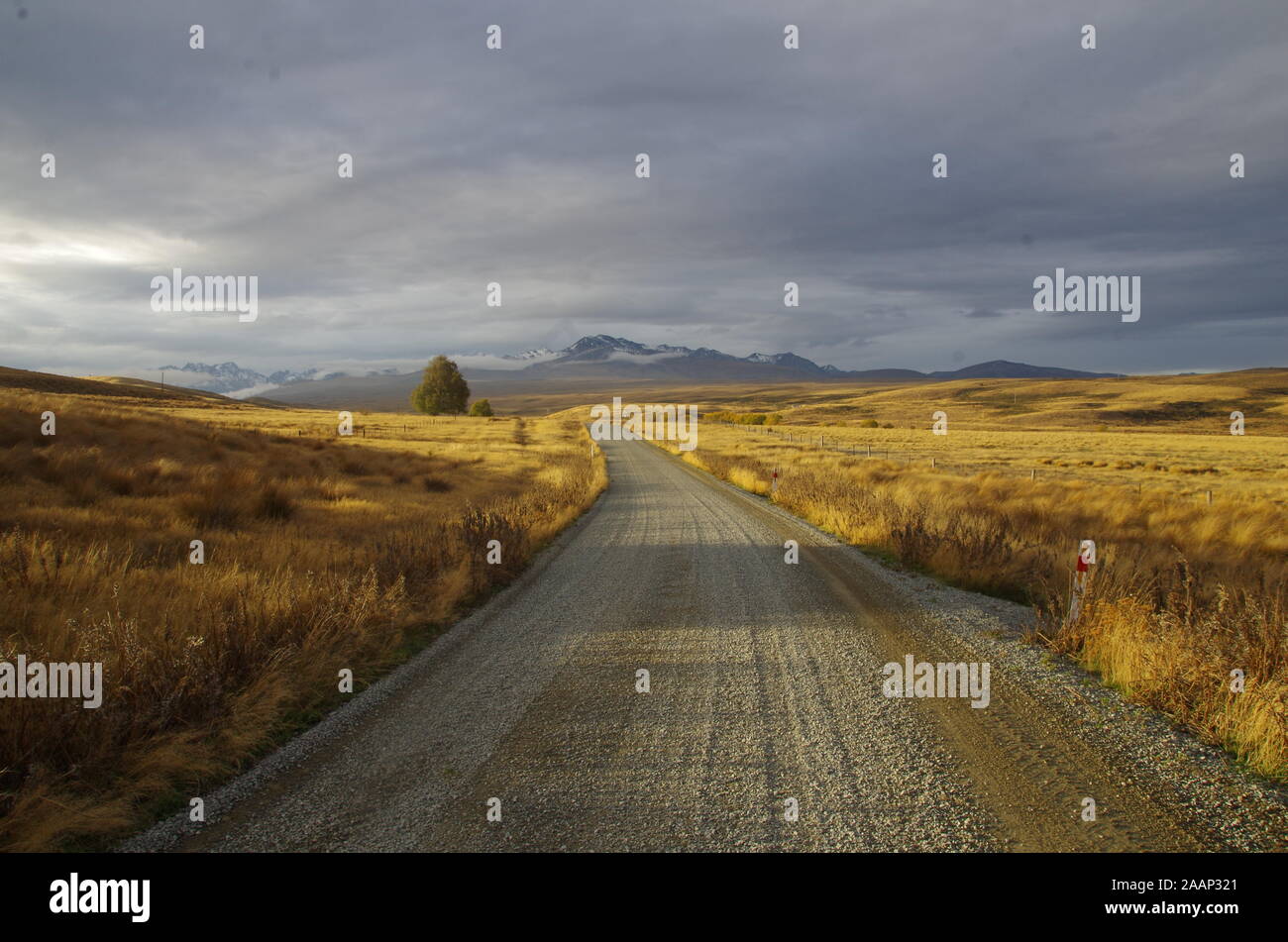Te Araroa Trail. Pukaki Flats Track. South Island. New Zealand Stock ...