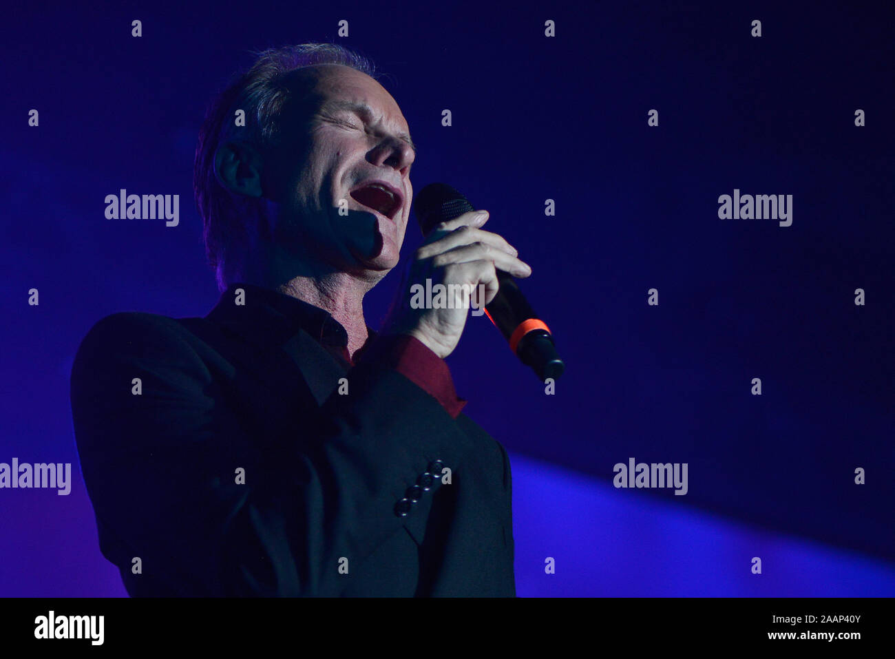 Sting artist hi-res stock photography and images - Alamy