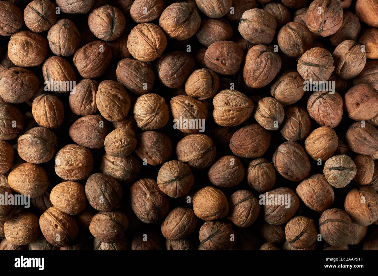 Walnut heap textured background for your design, closeup, from above ...