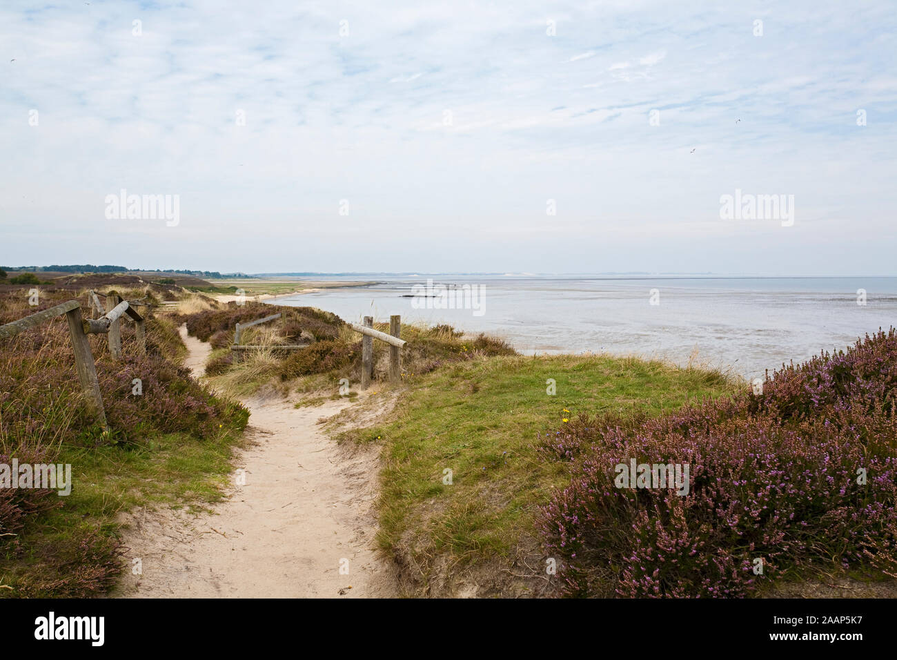 Weg durch heide hi-res stock photography and images - Alamy
