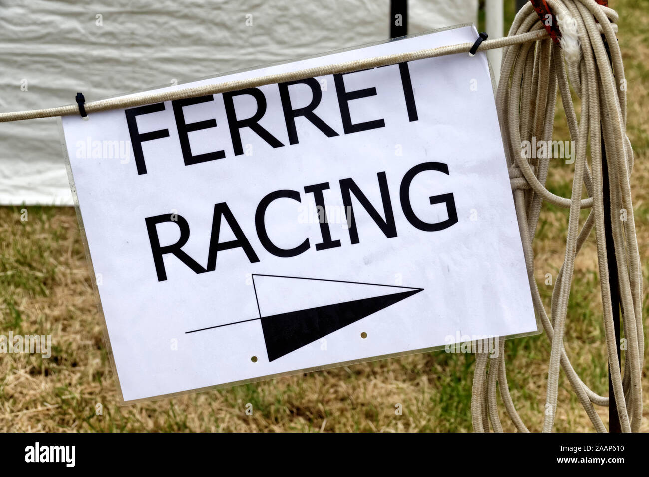 A Ferret Racing Sign at the Selwood Vintage Steam Fair 2019, Wiltshire ...
