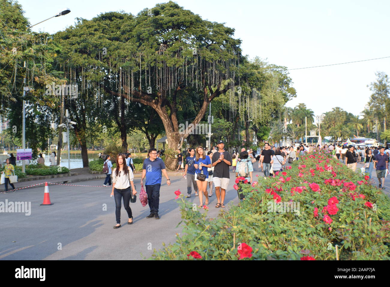 Red Cross Fair 2019 Stock Photo - Alamy