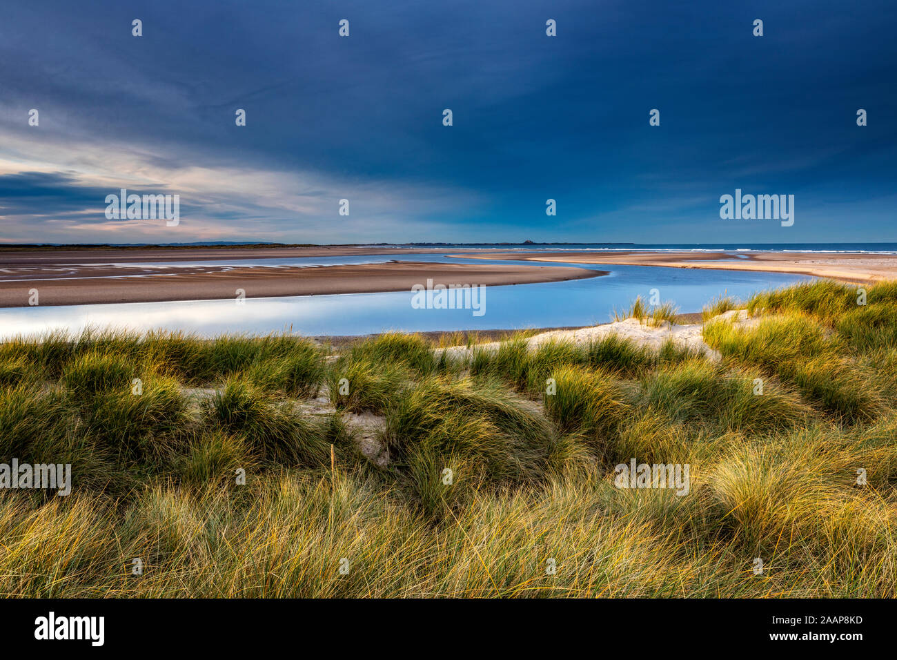 Budle Bay High Resolution Stock Photography and Images - Alamy
