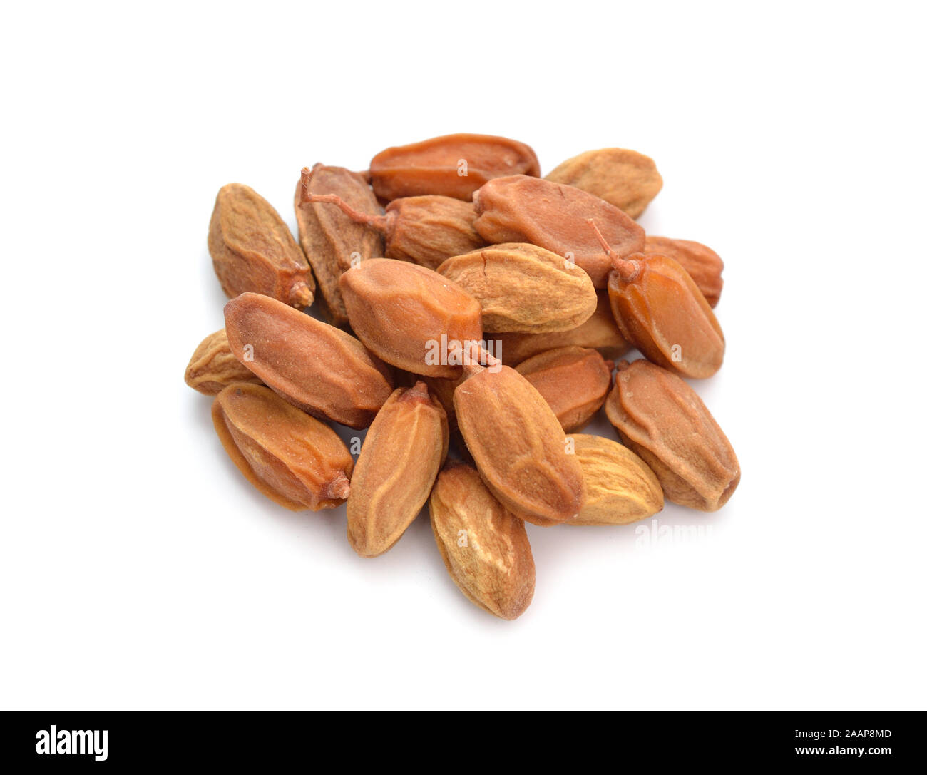 Azadirachta indica, commonly known as neem, nimtree or Indian lilac ...