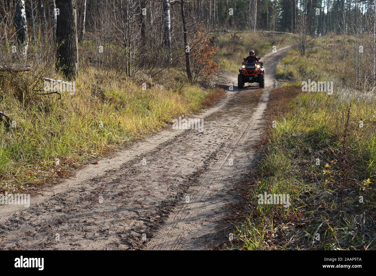 A trip on the all-terrain vehicle on the forest road Stock Photo - Alamy