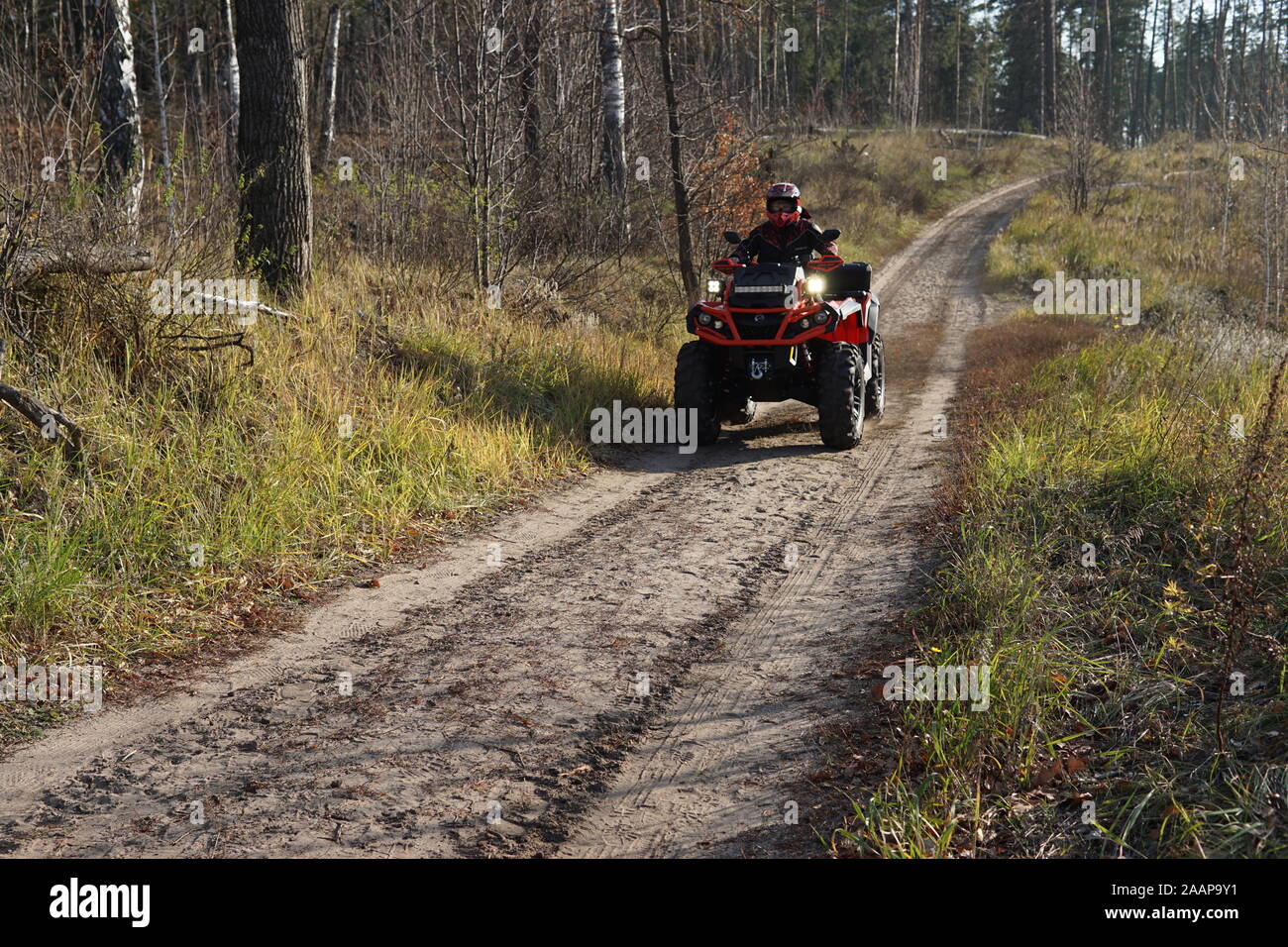 A trip on the all-terrain vehicle on the forest road Stock Photo - Alamy