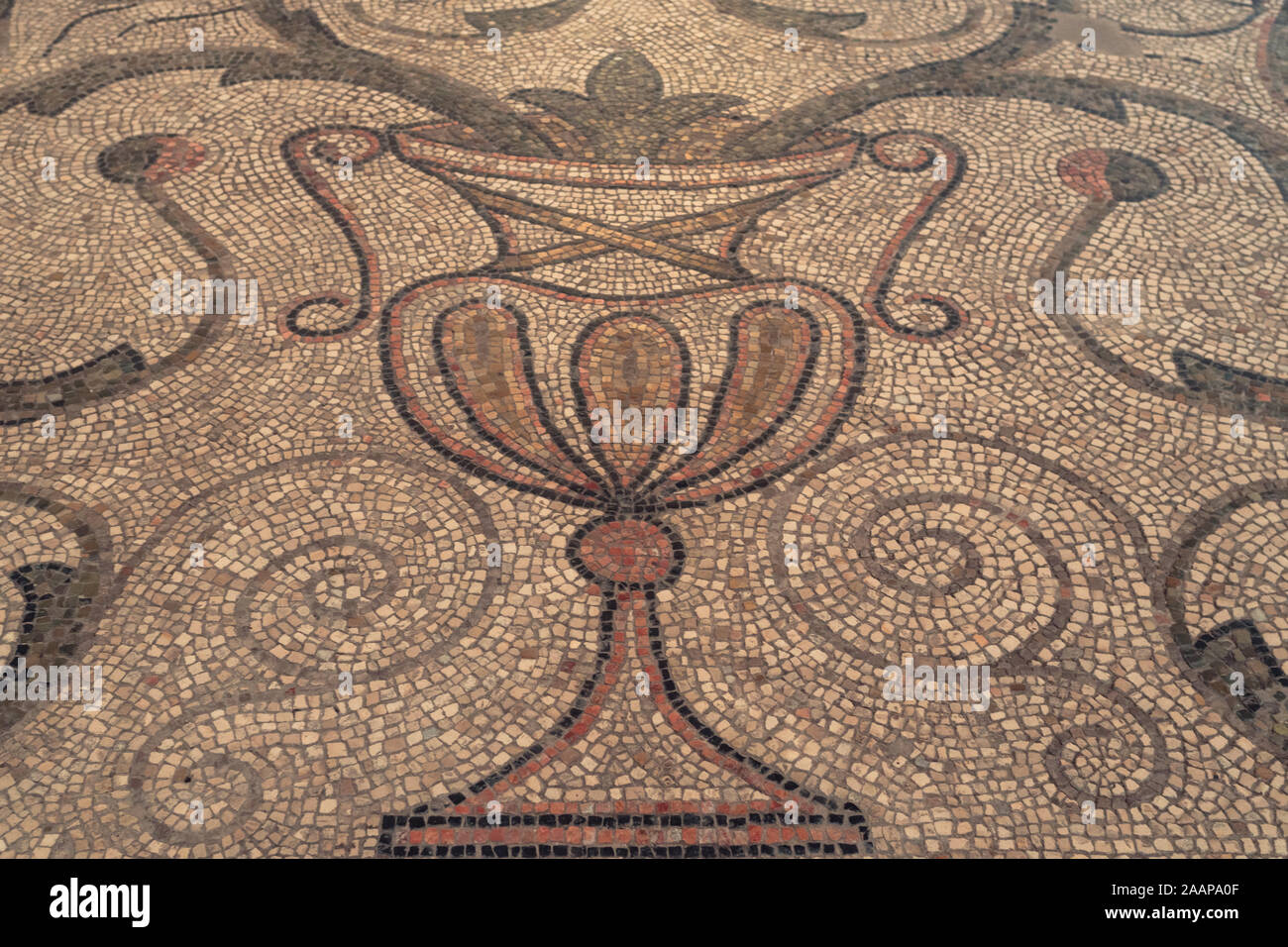 Floor design flowers shape hi-res stock photography and images - Alamy