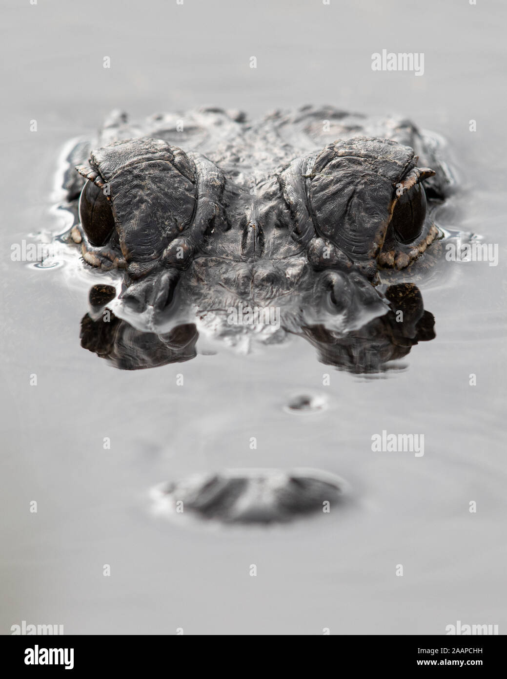 Closeup a partially hi-res stock photography and images - Alamy