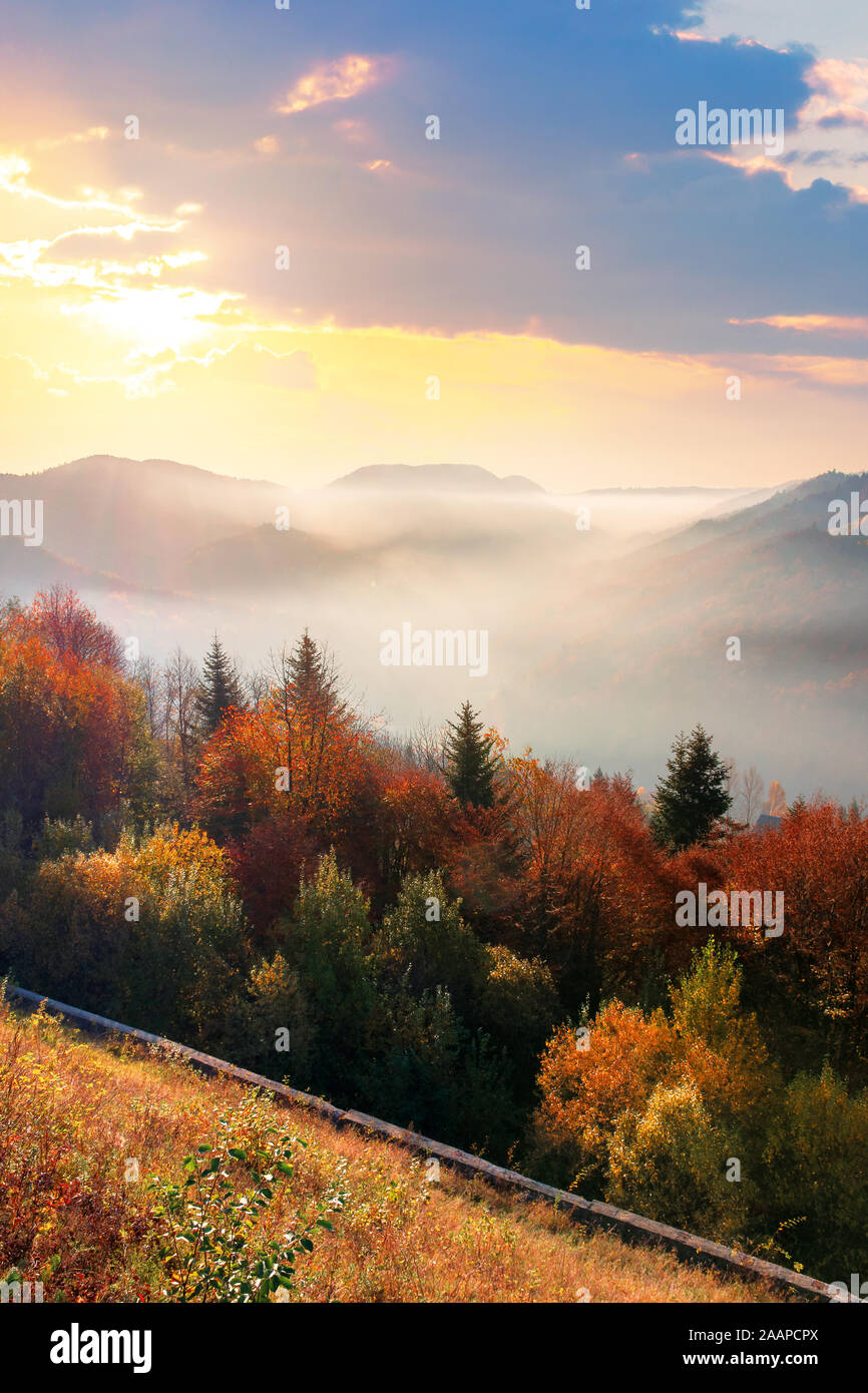 Trees on hillside slope slopes hi-res stock photography and images - Alamy