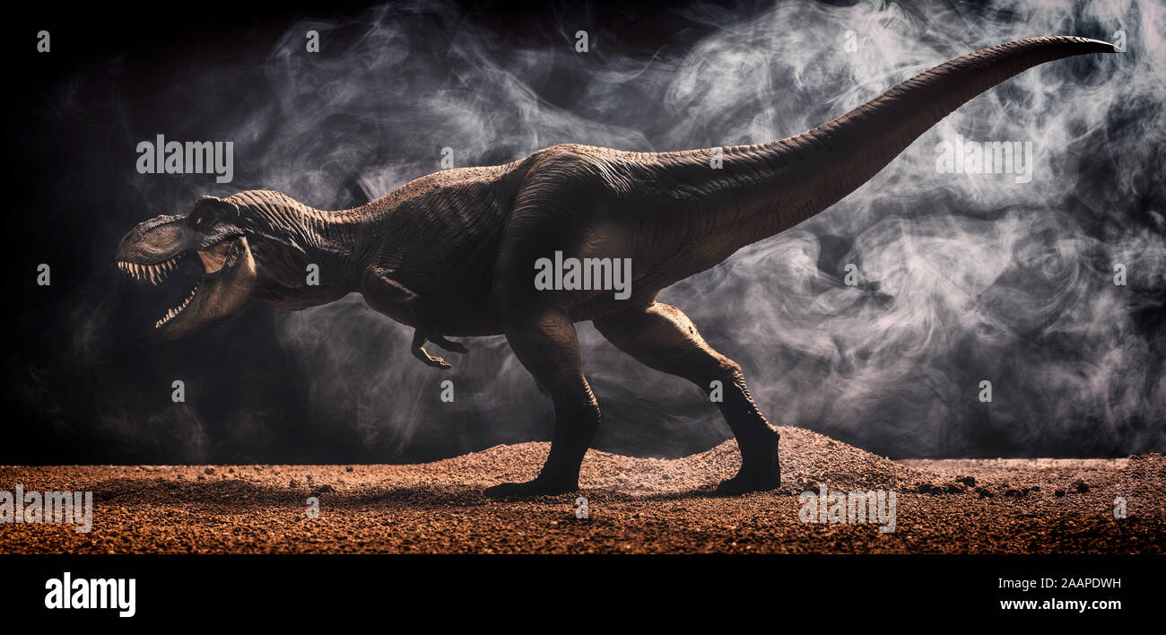 3d Illustrator - Tyrannosaurus rex isolated black background Stock ...