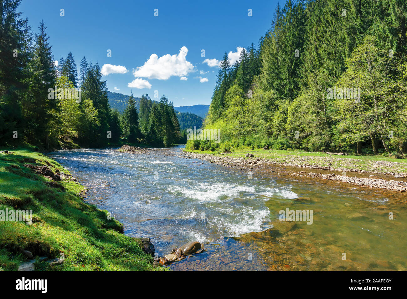 Grassy river hi-res stock photography and images - Alamy