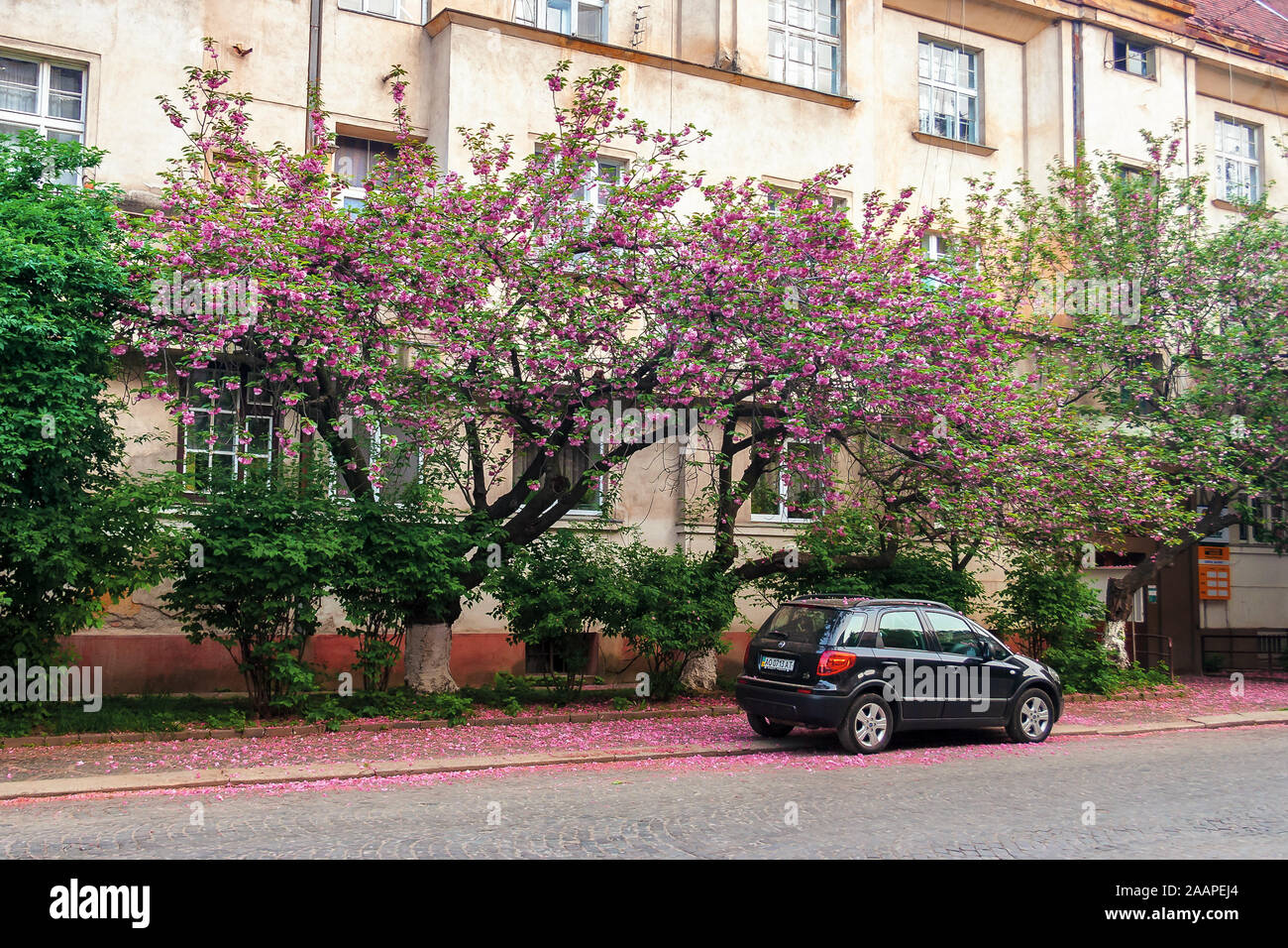 uzhhorod, ukraine - 02 MAY, 2010: black compact suv car under the ...