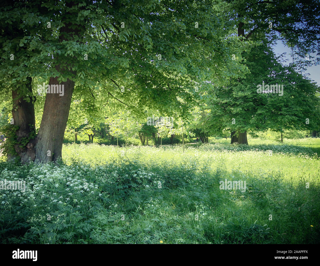 Frederiksberg gardens,Copenhagen: romantic landscape park in English ...
