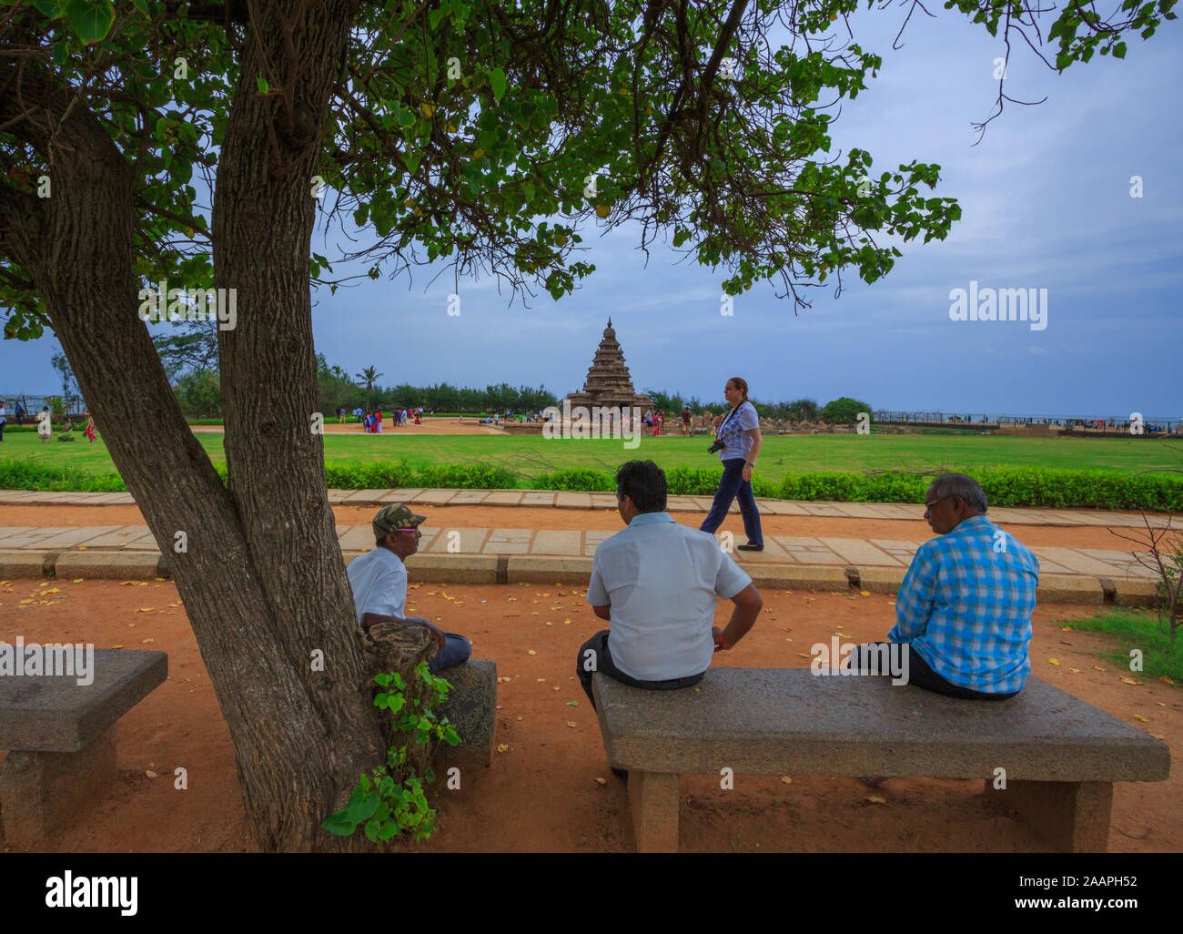 Group people sitting under tree hi-res stock photography and images - Alamy