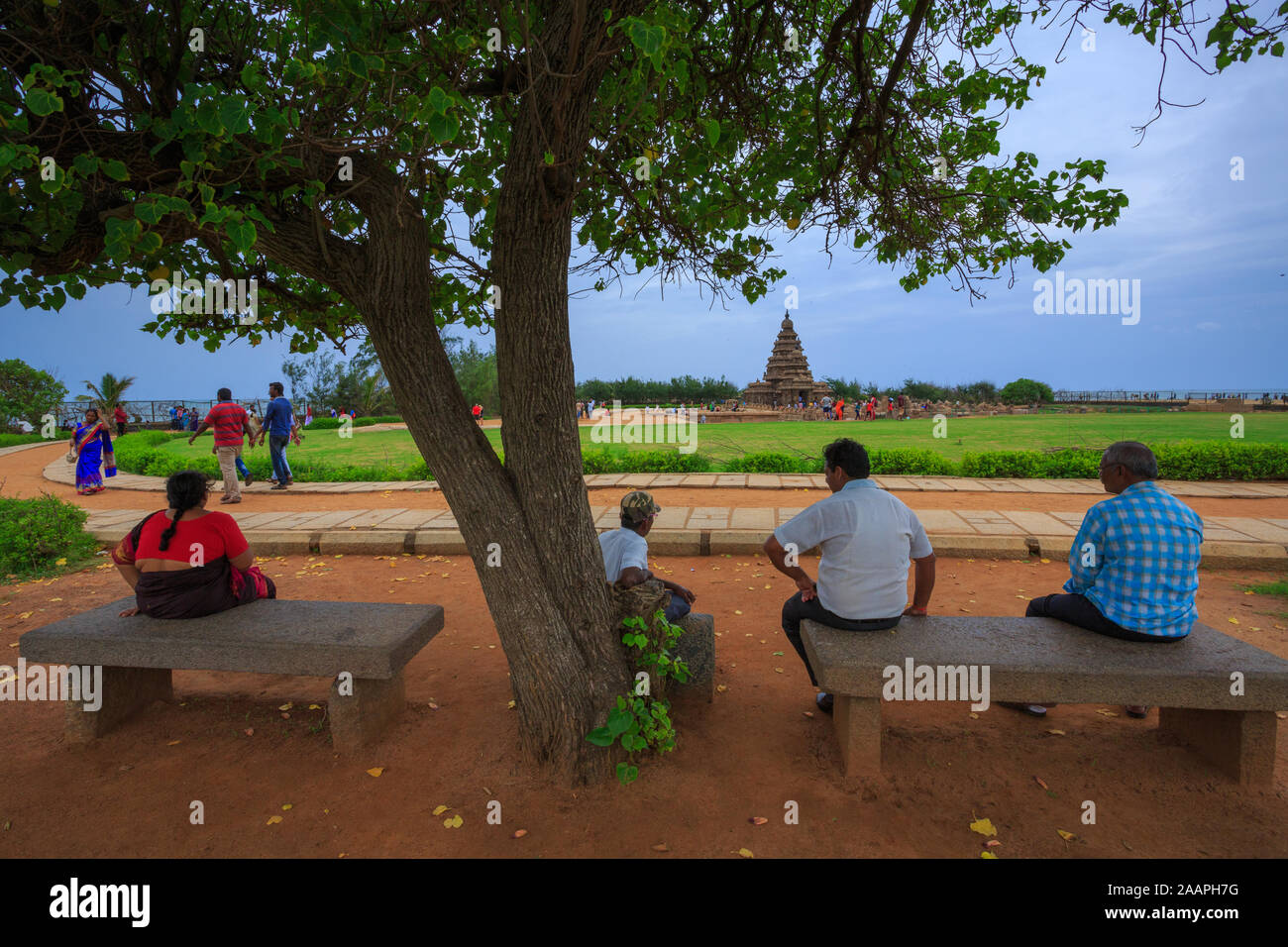 A group of people sitting under a tree while the famous Shore Temple is ...