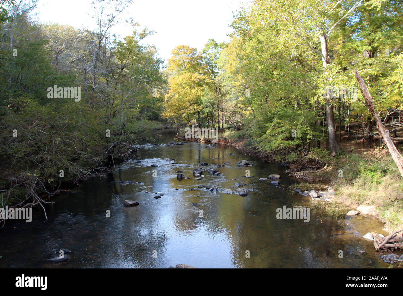 The Eno River flowing over rocks and boulders through a forest in Eno ...