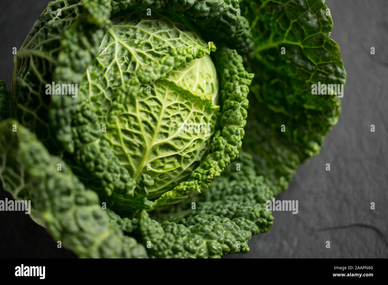 A whole British Savoy cabbage bought from a supermarket in the UK ...