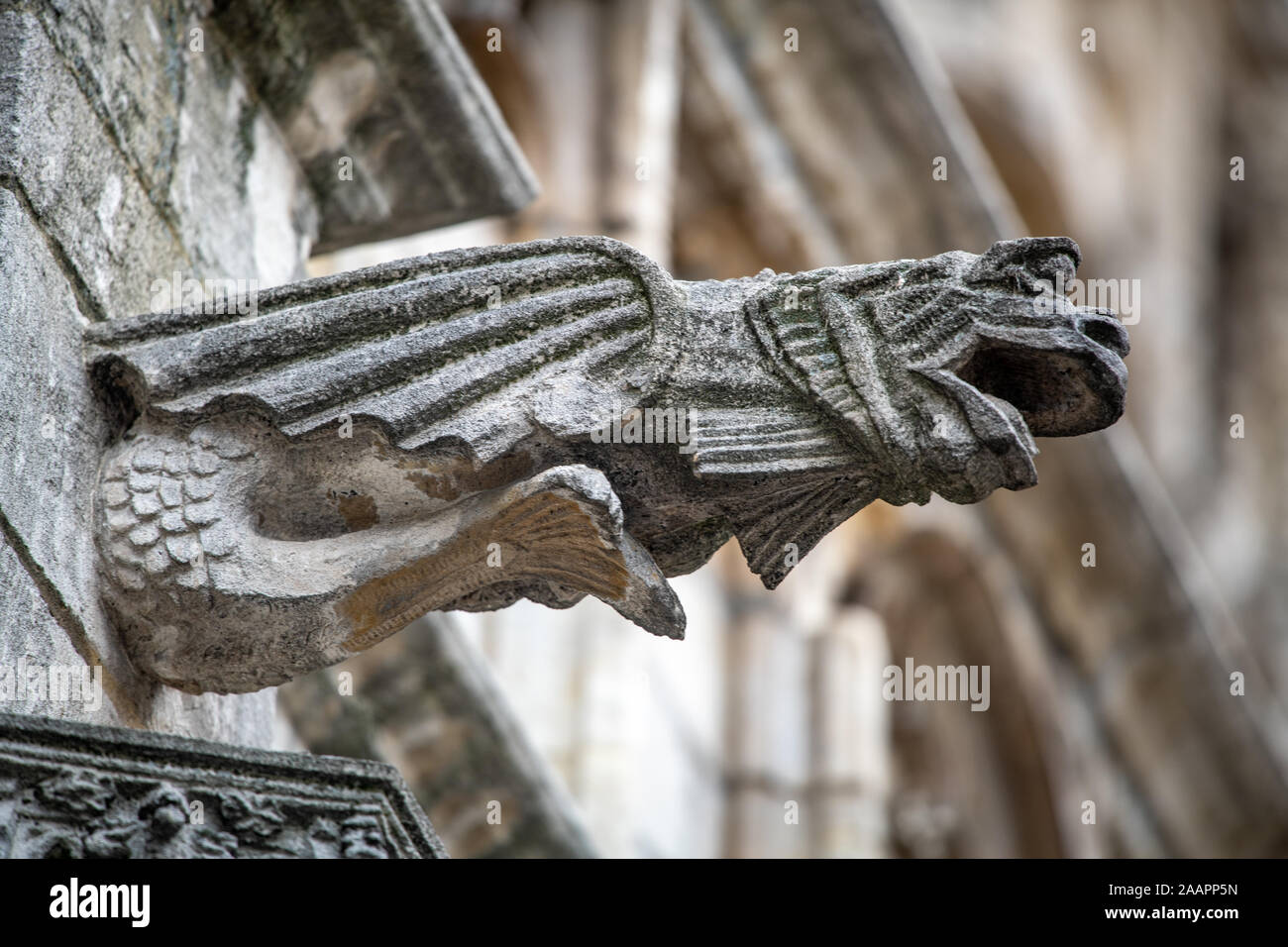 Gothic Gargoyles On Buildings