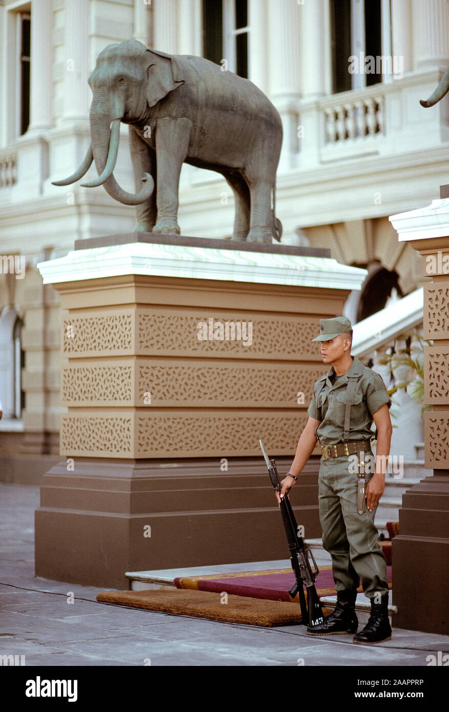 Elephant guard rifle hi-res stock photography and images - Alamy