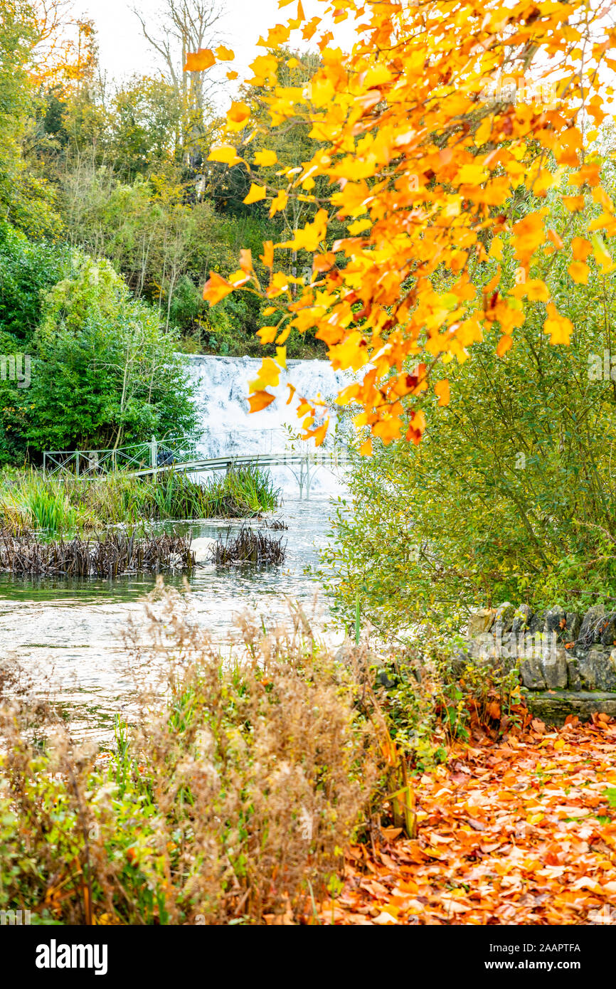 Blenheim Palace, Silver birch in autumn colours next to river Glymme ...