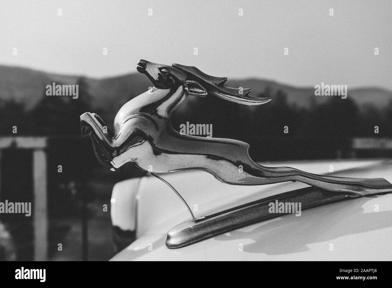 Beautiful black and white image of a vintage Volga - model 1963 Stock ...