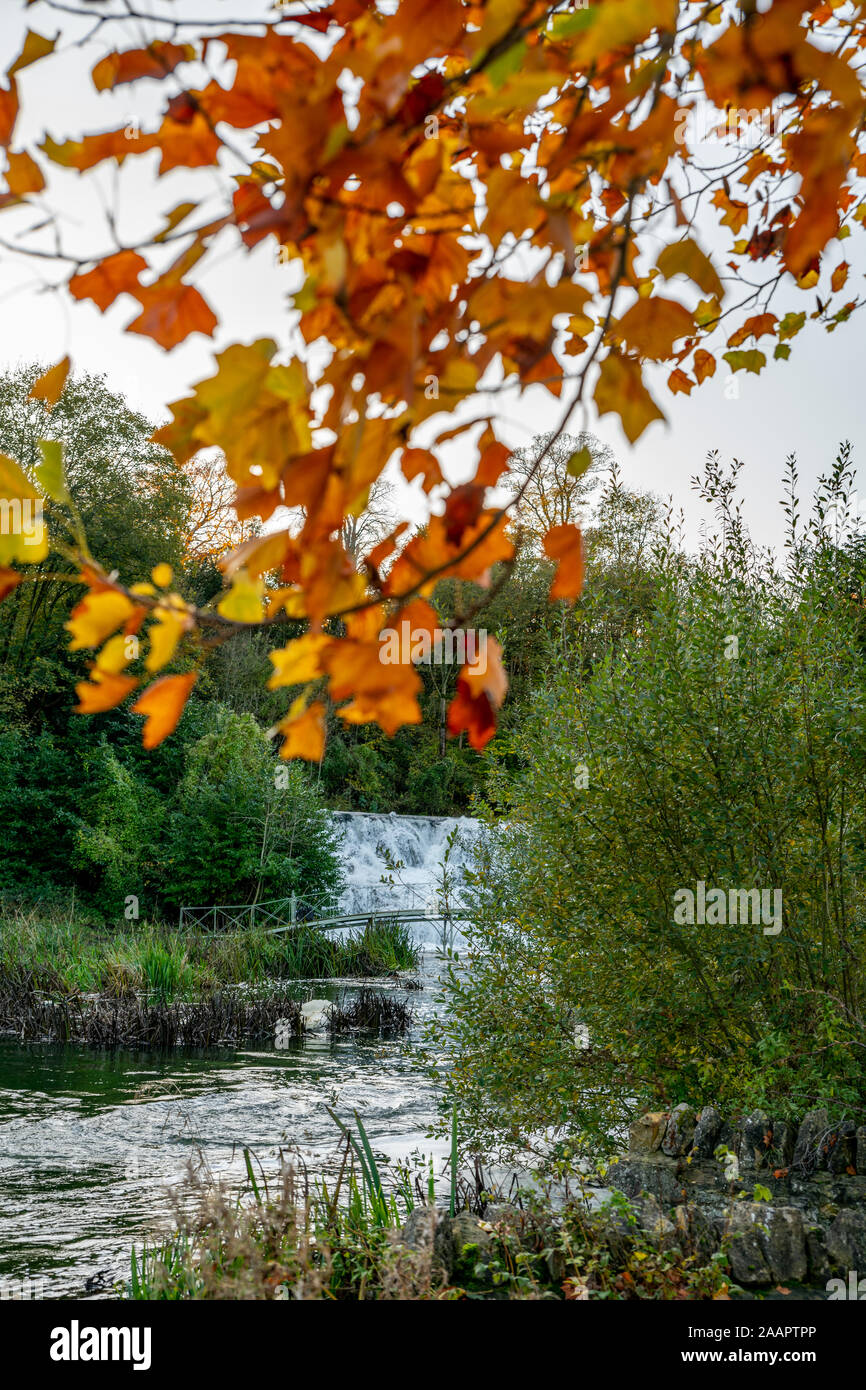 Blenheim Palace, Silver birch in autumn colours next to river Glymme ...