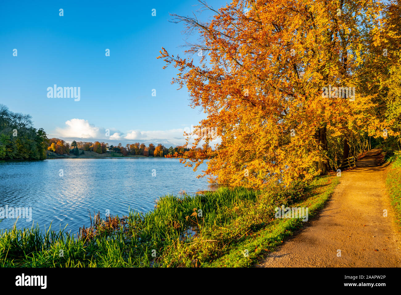 Blenheim Palace: Banks of the river Glymme at sunset. Beautiful autumn ...