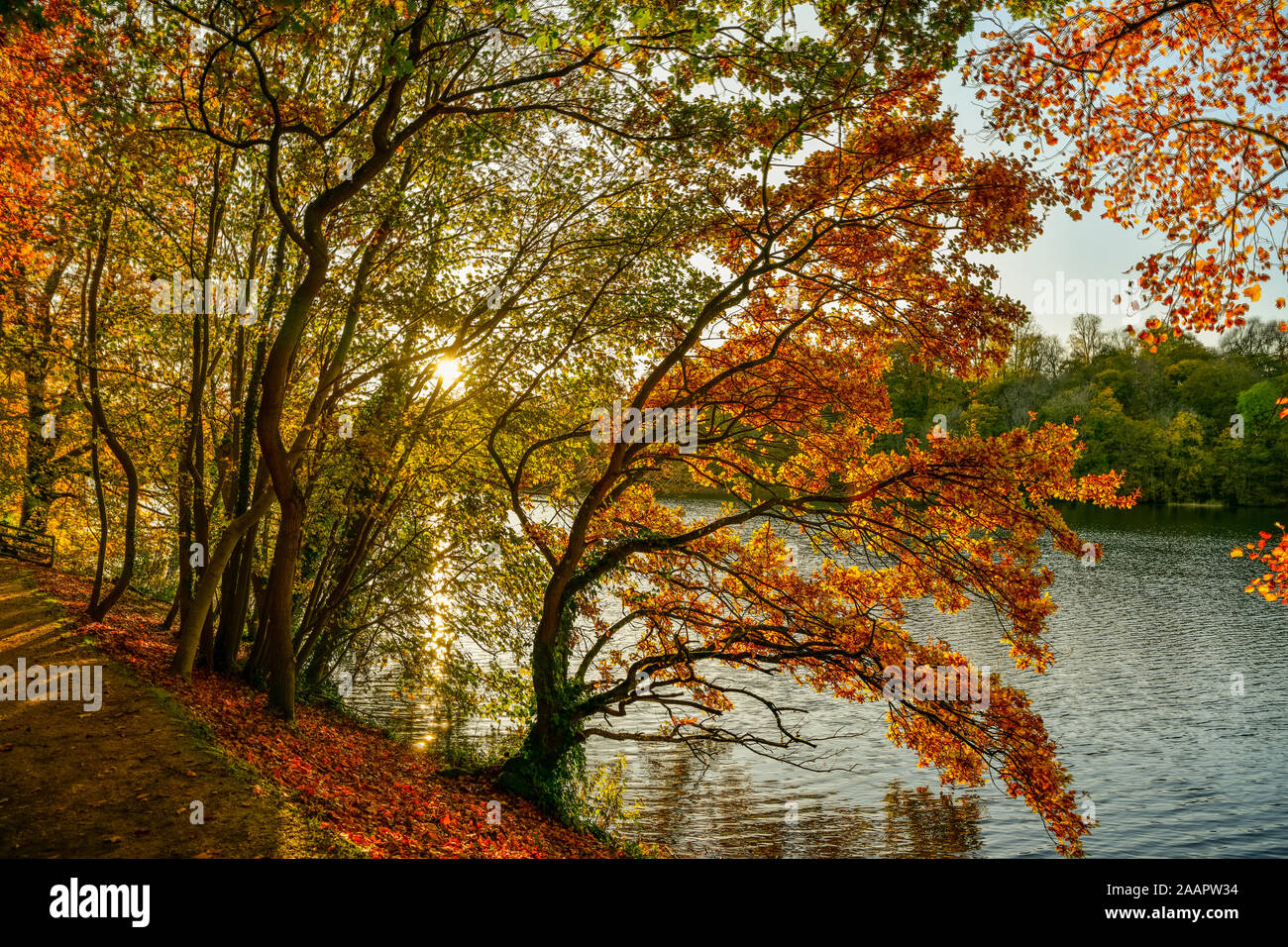 Blenheim Palace: Banks of the river Glymme at sunset. Beautiful autumn ...