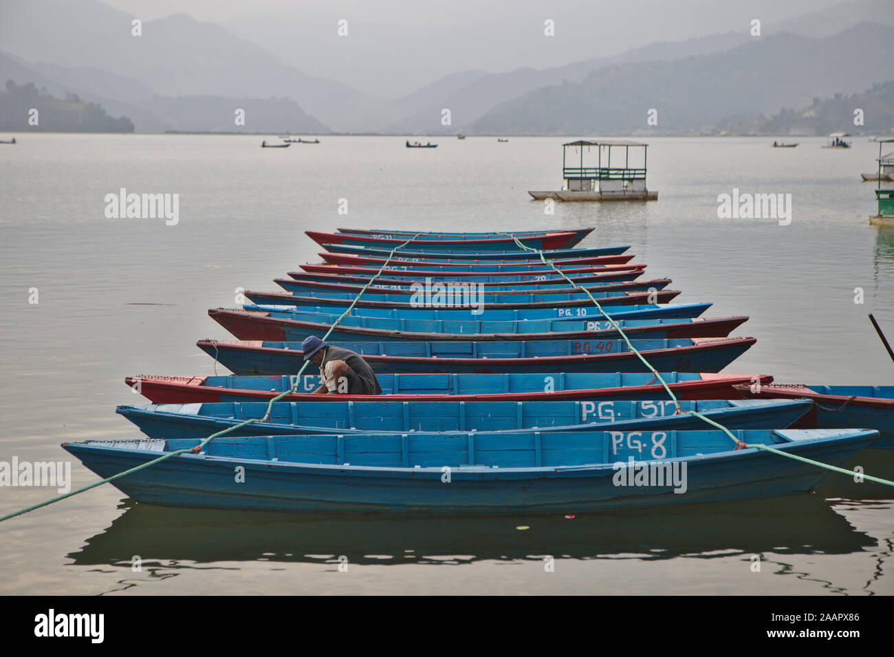 a row of blue rowboats on lake phewa Stock Photo - Alamy