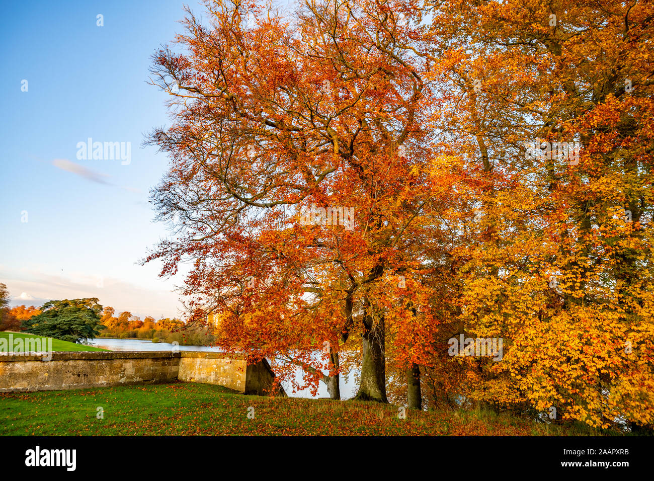 Parks and grounds around the river Glymme. Blenheim Palace, Woodstock ...