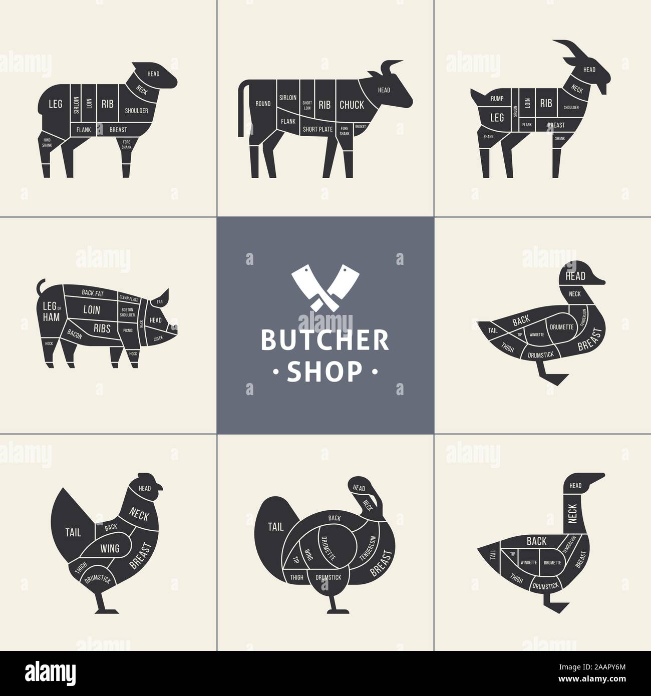 Set a schematic view of animals for the butcher shop Stock Vector Image ...
