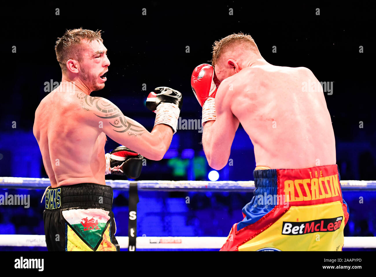 James Tennyson Boxer High Resolution Stock Photography and Images - Alamy