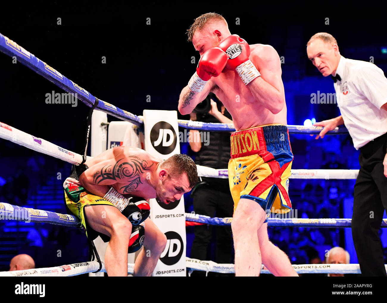 James Tennyson Boxer High Resolution Stock Photography and Images - Alamy