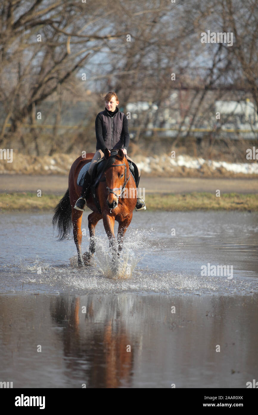 Woman riding a horse on beach hi-res stock photography and images - Alamy